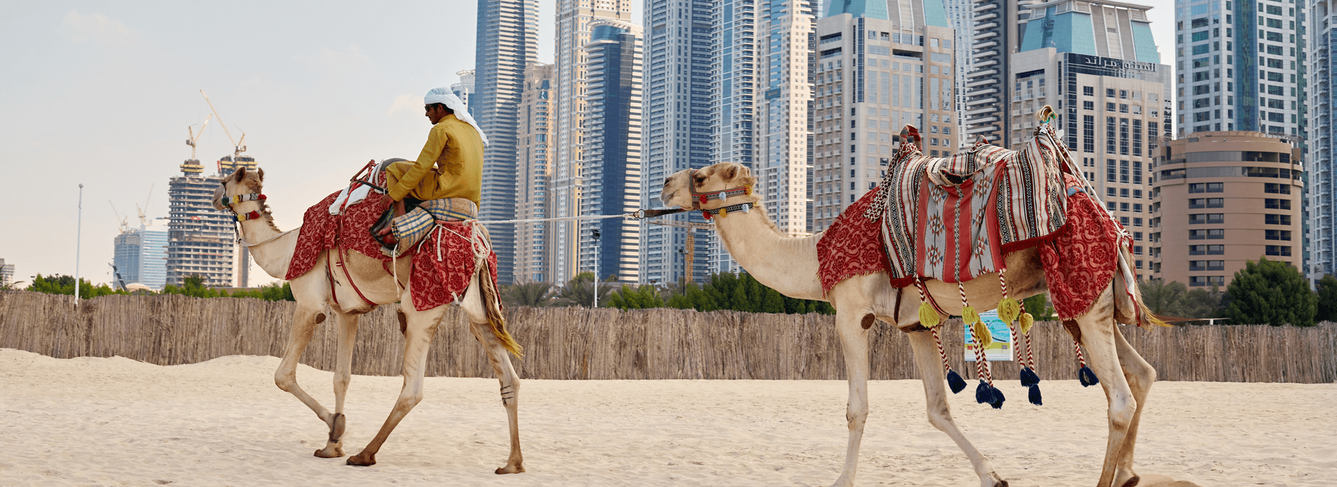 Best Desert Safari Dubai - Arabian Destination Tourism